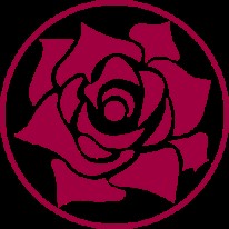 single-rose_end-of-intro.jpg